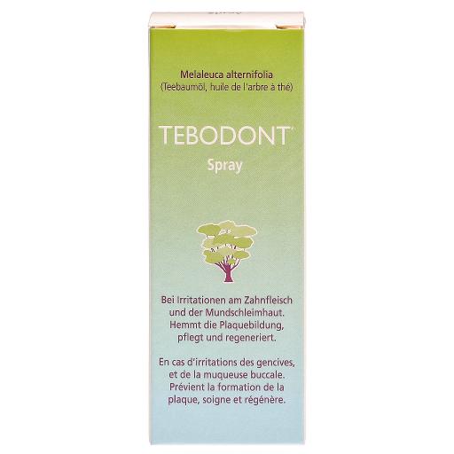 Tebodont Spray 25 ml: zur Beruhigung und Linderung der Mundschleimhaut ...